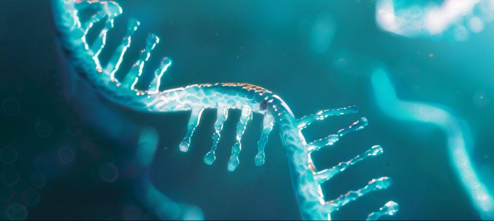 How to Choose the Right Delivery Vehicle for RNA Therapy Applications ...